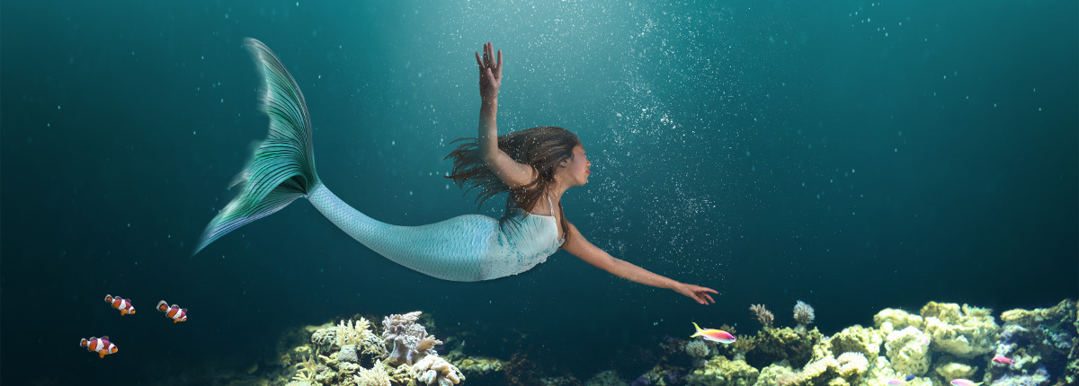 Les Sirènes Academies Voyagez Et Devenez Une Véritable Sirène