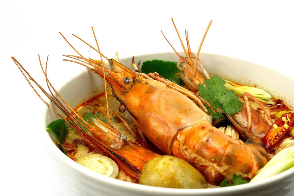 Top 20 des meilleurs plats du monde